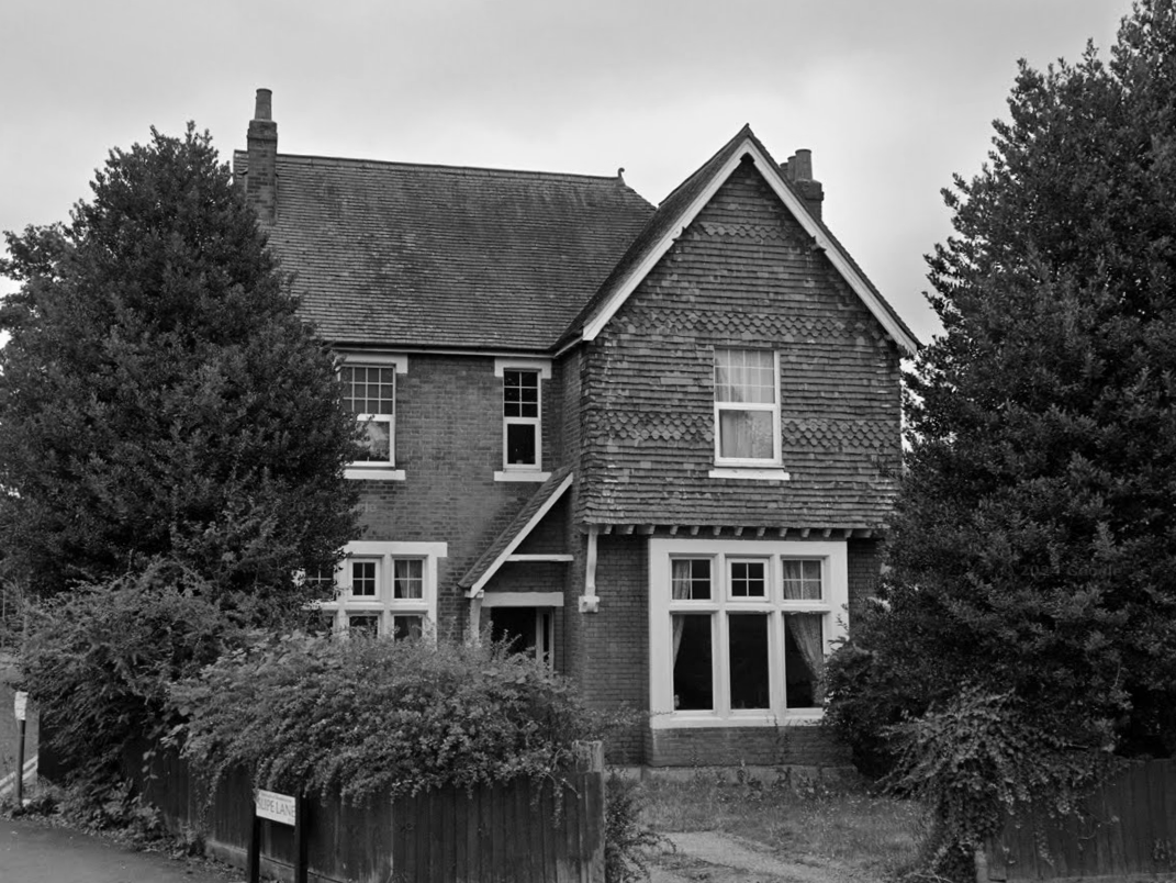 Poem 551 – Alive | Ode for the Day